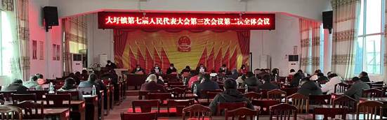 江华大圩镇：携民意 递民声，票决民生实事_乡镇动态_